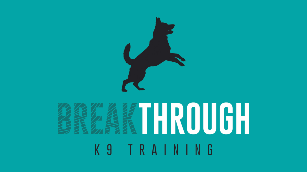 Fredericton Dog Training - Breakthrough K9 Training
